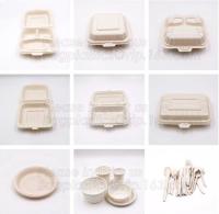 China 100% Biodegradable Compostable Sugarcane Pulp Packaging Disposable Paper Plate for sale