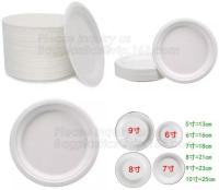 China 100% Biodegradable Compostable Sugarcane Pulp Packaging Disposable Paper Plate for sale
