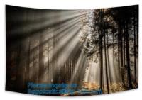 China Bohemian Reusable Eco Bags Sun Moon Custom Printed Hippie Tapestry Wall Hangings for sale