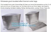China Reusable aluminium foil thermal insulation material cooler bag foPromotional 420D Polyester Insulation Picnic Cooler Bag for sale