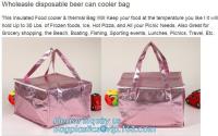 China Reusable aluminium Portable Oxford Cloth Insulation lunch bag Quality Thermal cooler Disposable Office Lunch Bag PACK for sale
