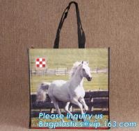 China Fashion pp non woven shopping bag,grocery laminated non woven bag,Logo Printed Shopping Bag,Tote Bags,fabric Woven Bag for sale