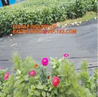 China 100% pp non woven perforated fabric weed control mat weed barrier anti weed mat,100% pp cover fabric weed control mat we for sale