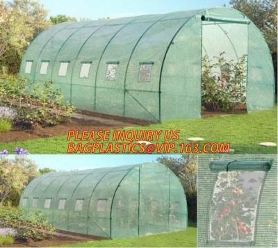 China Polycarbonate Plastic Sheet Agricultural Mini Garden Green House Walk In Dome for sale