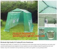 China Polycarbonate Plastic Sheet Agricultural Mini Garden Green House Walk In Dome for sale