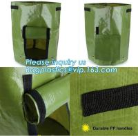 China garden plant/ patato/vegetable grow bags,2gallon hotsales fabric pots grow bags for plant flower grow bag plant potato o for sale