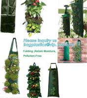 China 4 Pockets Permeable Non-woven fabric 26x65cmx1mm Vertical Wall Planting Bag for flower vegetable lettuce ferns, bagease for sale