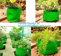 China 4 Pockets Permeable Non-woven fabric 26x65cmx1mm Vertical Wall Planting Bag for flower vegetable lettuce ferns, bagease for sale
