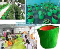 China 4 Pockets Permeable Non-woven fabric 26x65cmx1mm Vertical Wall Planting Bag for flower vegetable lettuce ferns, bagease for sale