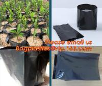 China polyethylene black grow bags plastic plant pot seeding nursery bags,Effective UV Stabilized Black White Plastic Growing for sale