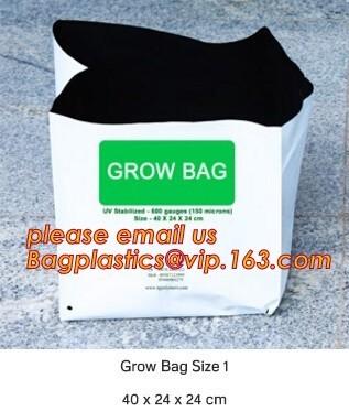 China cultivating bags, 100% biodegradable various Wholesale Poly Black Square Garden Plastic Baby Flower Plant Nursery Poly B for sale