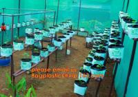 China cultivating bags, 100% biodegradable various Wholesale Poly Black Square Garden Plastic Baby Flower Plant Nursery Poly B for sale