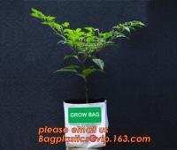 China cultivating bags, 100% biodegradable various Wholesale Poly Black Square Garden Plastic Baby Flower Plant Nursery Poly B for sale
