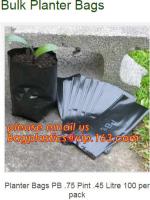 China Wholesale Poly Black Square Garden Plastic Baby Flower Plant Nursery Poly Bags for Hydroponics,1gal 2gal 3gal 5gal 7gal for sale