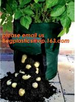 China 40 Gal Grow Biodegradable Garden Bags Aeration Fabric Pots Breathable With Handles for sale