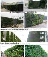 China Wall Hanging Planter Bags 25 Pockets Wall-mounted Growing Bags for Indoor/outdoor. Hanging Vertical Garden For Yard plan for sale
