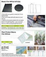 China Green house film, pp non-woven weed control sheet,mulch film w/pull-off hole,plant protect sleeve film w/hole, micro hol for sale