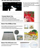 China Green house film, pp non-woven weed control sheet,mulch film w/pull-off hole,plant protect sleeve film w/hole, micro hol for sale