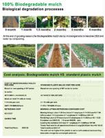 China 100% Biodegradable mulch, biological degradation processes, fruit box,flower pot,jute cloth,cultivating bag,jute net,net for sale
