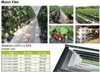 China Mulch film,plant protect sleeve film w/hole,air-breath mulch film,silver,black, green,mulch film, pull-off hole,ldpe+lld for sale