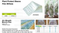 China Mulch film,plant protect sleeve film w/hole,air-breath mulch film,silver,black, green,mulch film, pull-off hole,ldpe+lld for sale