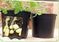 China High quality PP potato grow pot planting bag,Gallon Garden Plastic Nursery Plant Flower Grow Pot for Plants, Black Indoo for sale