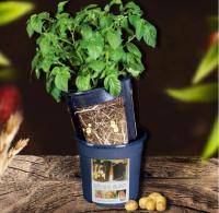 China High quality PP potato grow pot planting bag,Gallon Garden Plastic Nursery Plant Flower Grow Pot for Plants, Black Indoo for sale