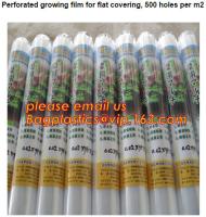 China Polyethylene Commercial Tunnel Greenhouse Film for Tomato Planting 200micron,Tomato Growth Plant Tomato Film,film coveri for sale