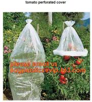 China Garden used tomato plastic film cover,high light transmittance solar control seeding nursery greenhouse covers,100% virg for sale