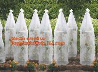 China Garden used tomato plastic film cover,high light transmittance solar control seeding nursery greenhouse covers,100% virg for sale