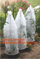 China Garden used tomato plastic film cover,high light transmittance solar control seeding nursery greenhouse covers,100% virg for sale