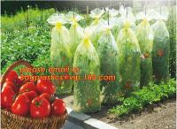 China high light transmittance solar control seeding nursery greenhouse covers,100% virgin LDPE protective single layer cucumb for sale