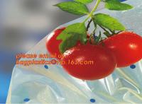 China high light transmittance solar control seeding nursery greenhouse covers,100% virgin LDPE protective single layer cucumb for sale