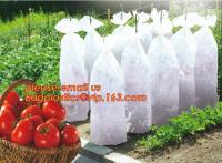 China high light transmittance solar control seeding nursery greenhouse covers,100% virgin LDPE protective single layer cucumb for sale