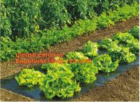 China high light transmittance solar control seeding nursery greenhouse covers,100% virgin LDPE protective single layer cucumb for sale