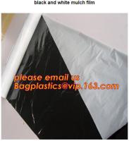 China Perforated Black Agricultural Mulch Film for Weed Control Membrane,Pre-stretch Perforated UV Resistant Agriculture Film for sale