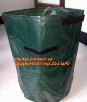 China vegetables, fruits, seeds, bedding plants, tomatoes, peppers, cucumbers, tree starters, potato bag, Hydroponics Garden for sale