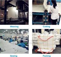 China Liquid pac Palm Oil Storage FIBC Jumbo Bags Flexibag Container 20ft 24000L Bulk Vinger bladder bag fuel oil transport for sale