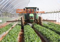 China Agriculture silver black plastic mulch film 8 micron,Reflective and Protective White and Black Color Panda Agricultural for sale