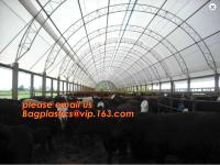 China agriculture anti insect net on roll insect proof mesh for greenhouse,Greenhouse Anti Insect Netting /Agriculture Netting for sale
