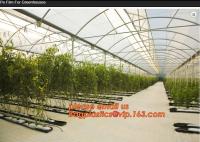China 100% new HDPE insect mesh / anti bird net for apple trees,greenhouse anti insect net for plant, agriculture net Anti-ins for sale
