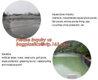 China Geosynthetic clay liner Geotextile mattress Geotextile PE net PE mesh Welding machine Plastic geogrid Fiberglass geogrid for sale