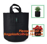 China Eco Friendly Biodegradable Garden Bags Felt Wall Planter Felt Grow for sale