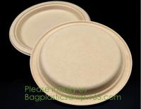 China Food Eco Friendly Dinnerware Fruit Snack Biodegradable Corn Starch PLA Foamed for sale
