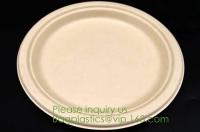 China Food Eco Friendly Dinnerware Fruit Snack Biodegradable Corn Starch PLA Foamed for sale