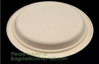 China Food Eco Friendly Dinnerware Fruit Snack Biodegradable Corn Starch PLA Foamed for sale