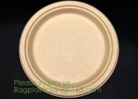 China Food Eco Friendly Dinnerware Fruit Snack Biodegradable Corn Starch PLA Foamed for sale
