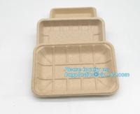 China Dishes Plates Eco Friendly Dinnerware Blister Packaging Resturant Serving Tray for sale