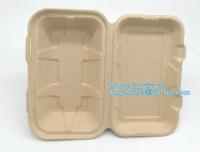 China Compostable Dinnerware Corn Starch Biodegradable Meat / Cake / Rectangular Tray for sale