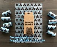 China Eco Friendly Outdoor Dog Cleaning Waste Bag Plastic Pet Cat Dog Waste for sale